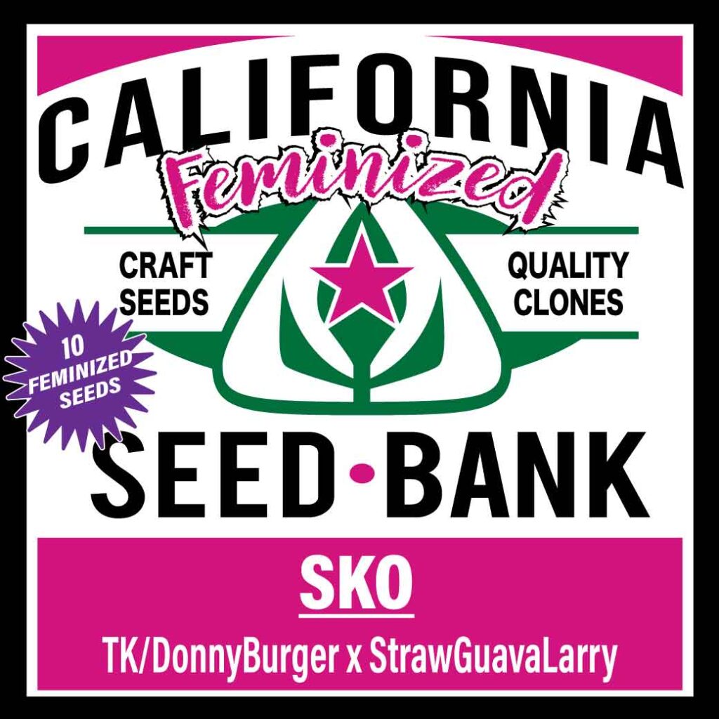 Femaleseeds – California Seedbank